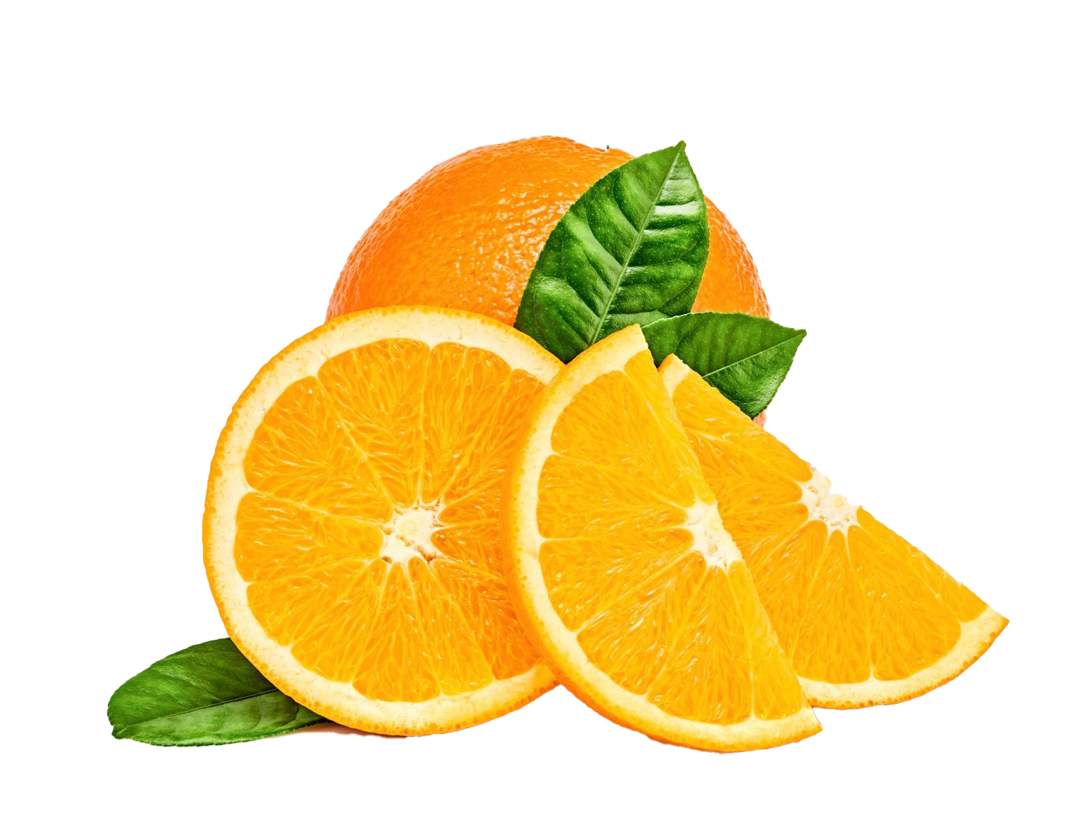 İletişim - Frutico